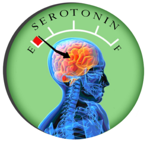 About Serotonin